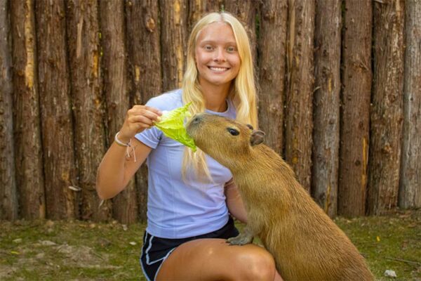 Extended Capybara Encounter | Meet & Feed Capybaras in Ohio